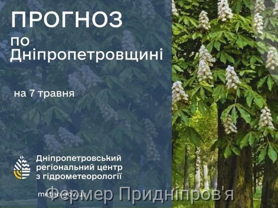 Погода у Січеславщині 7 травня новини - Фермер Придніпров'я